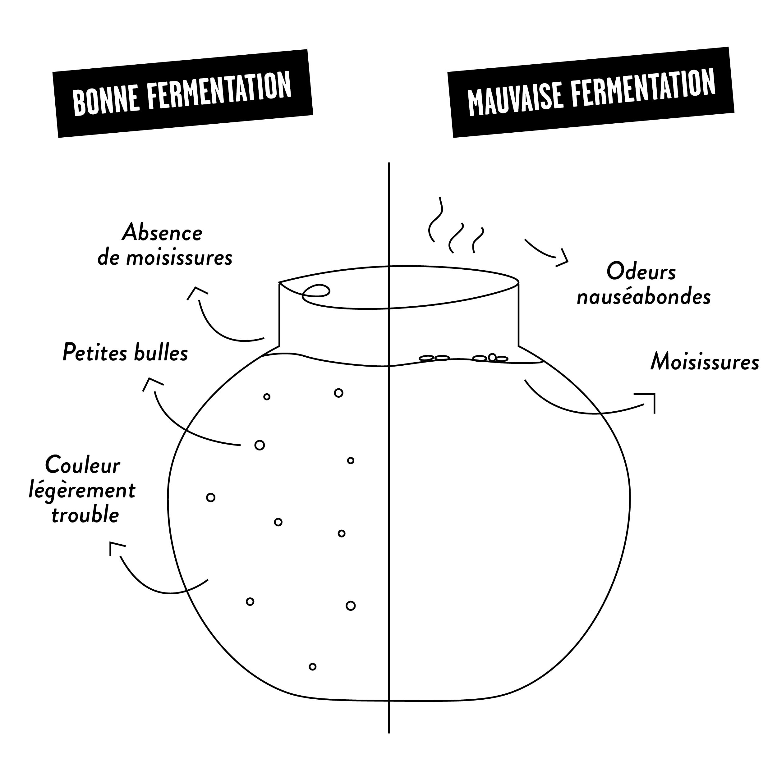 Qu'est-ce que la lacto-fermentation ? - Quintesens